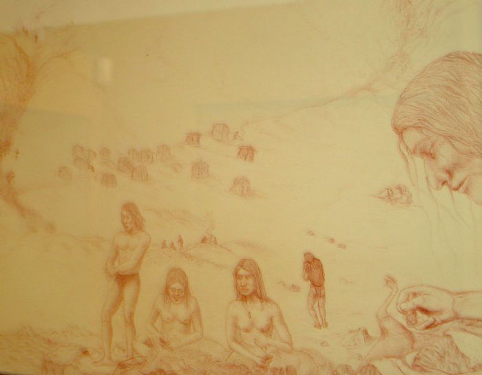 ARQUEOLOGIA DEL PRECERAMICO • Museo Contisuyo